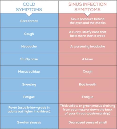 Is It a Cold or Sinus Infection? | Retiree News