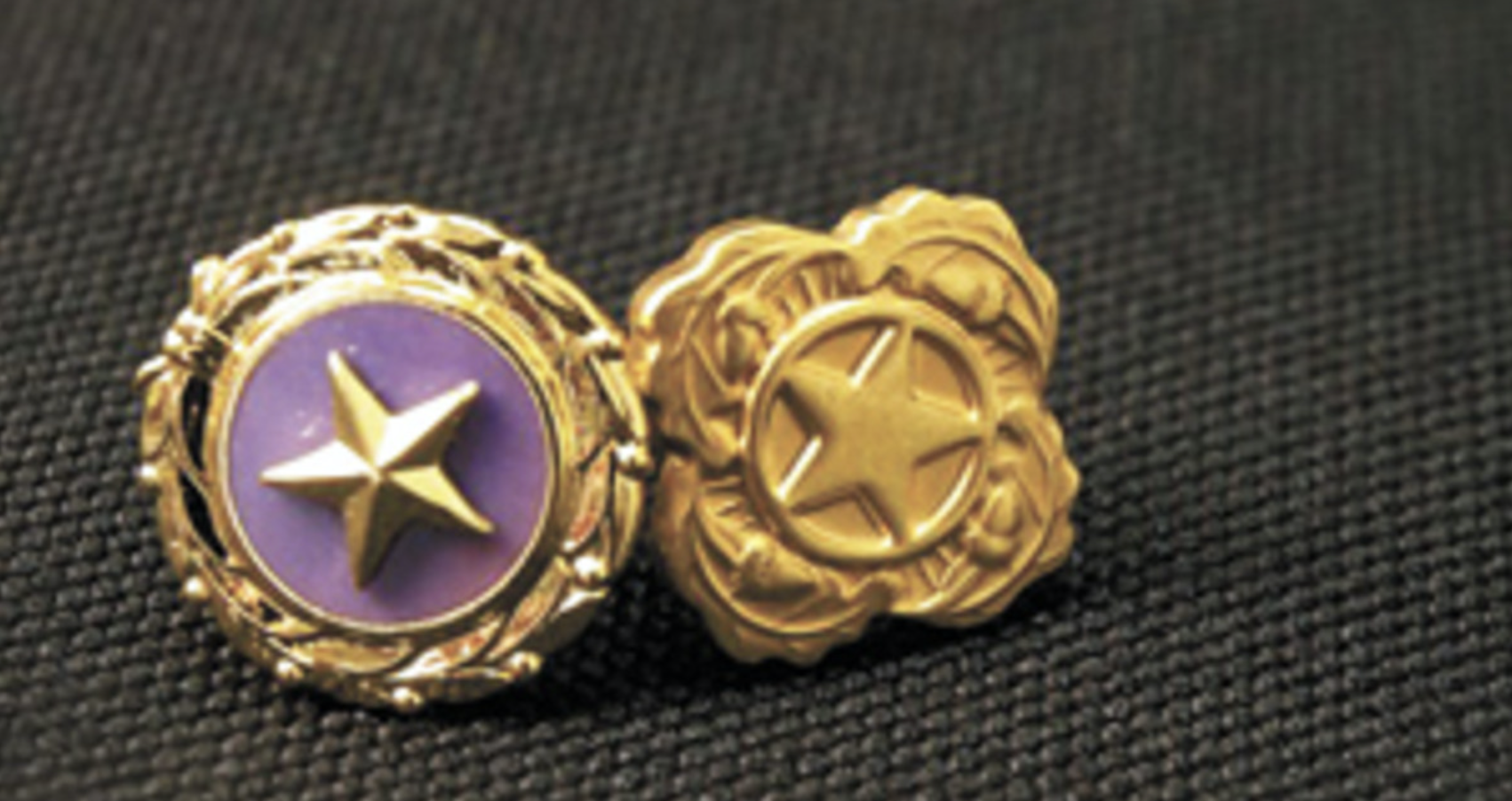 Understanding the Significance of the Gold Star | Retiree News