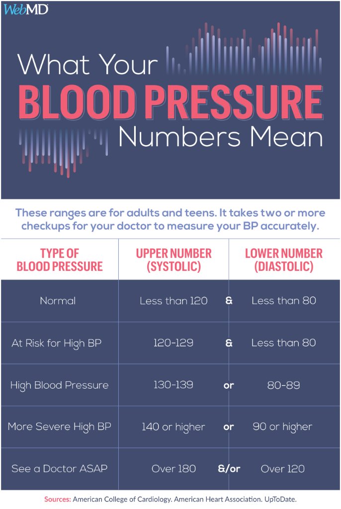 Diastole vs. Systole: Know Your Blood Pressure Numbers | Retiree News